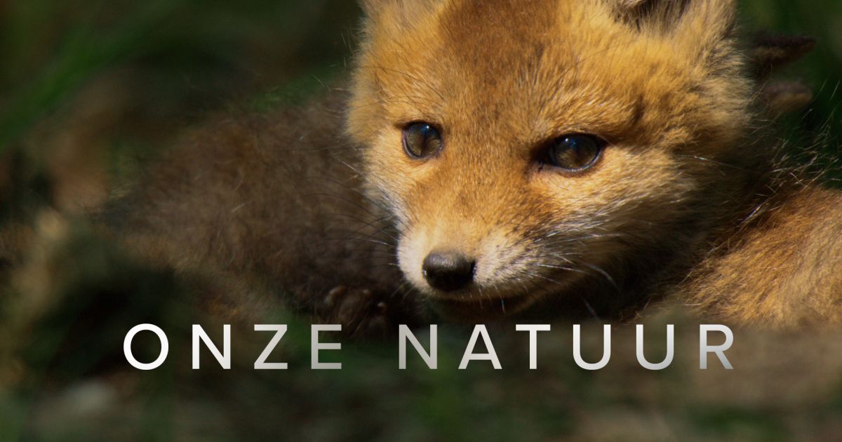 Onze natuur: lesmateriaal | VRT